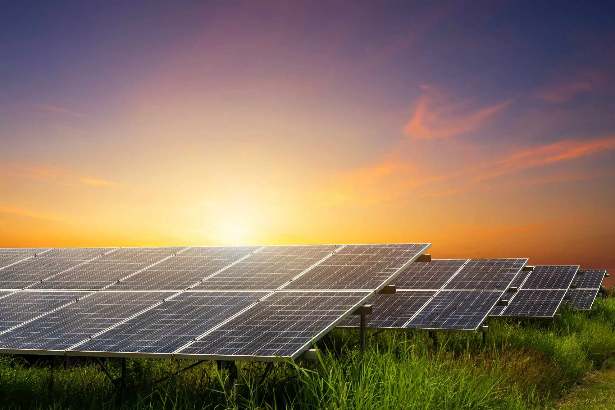 Solarvest: Discover Our Company's Journey